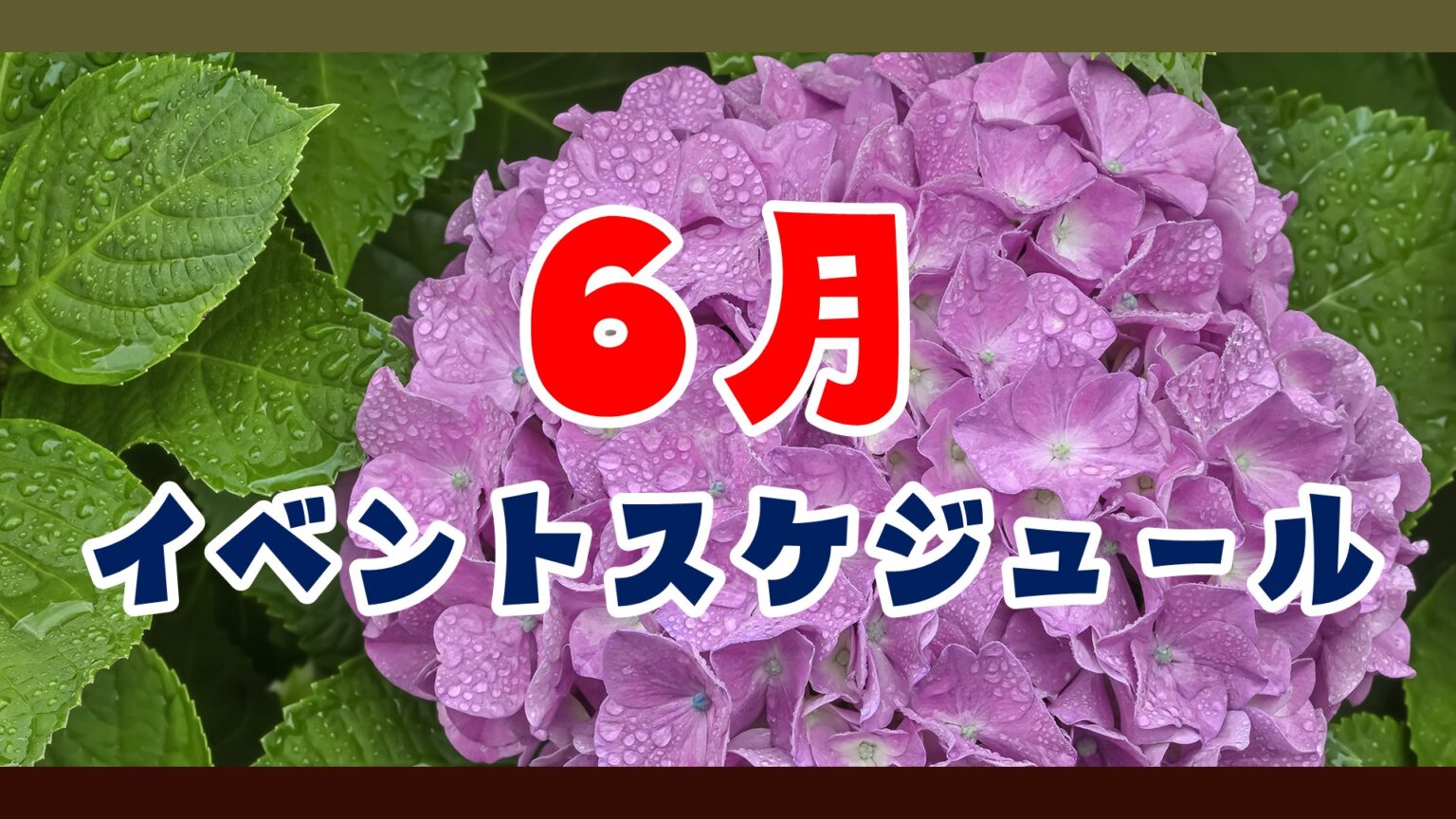 CAMP LINK 岐阜店 – CAMP LINK